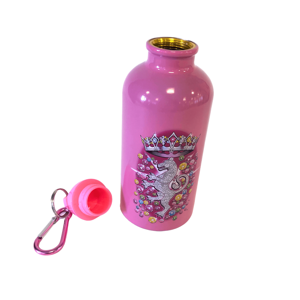 Experience magic with the Crystal Princess Drinking Bottle – Liontouch