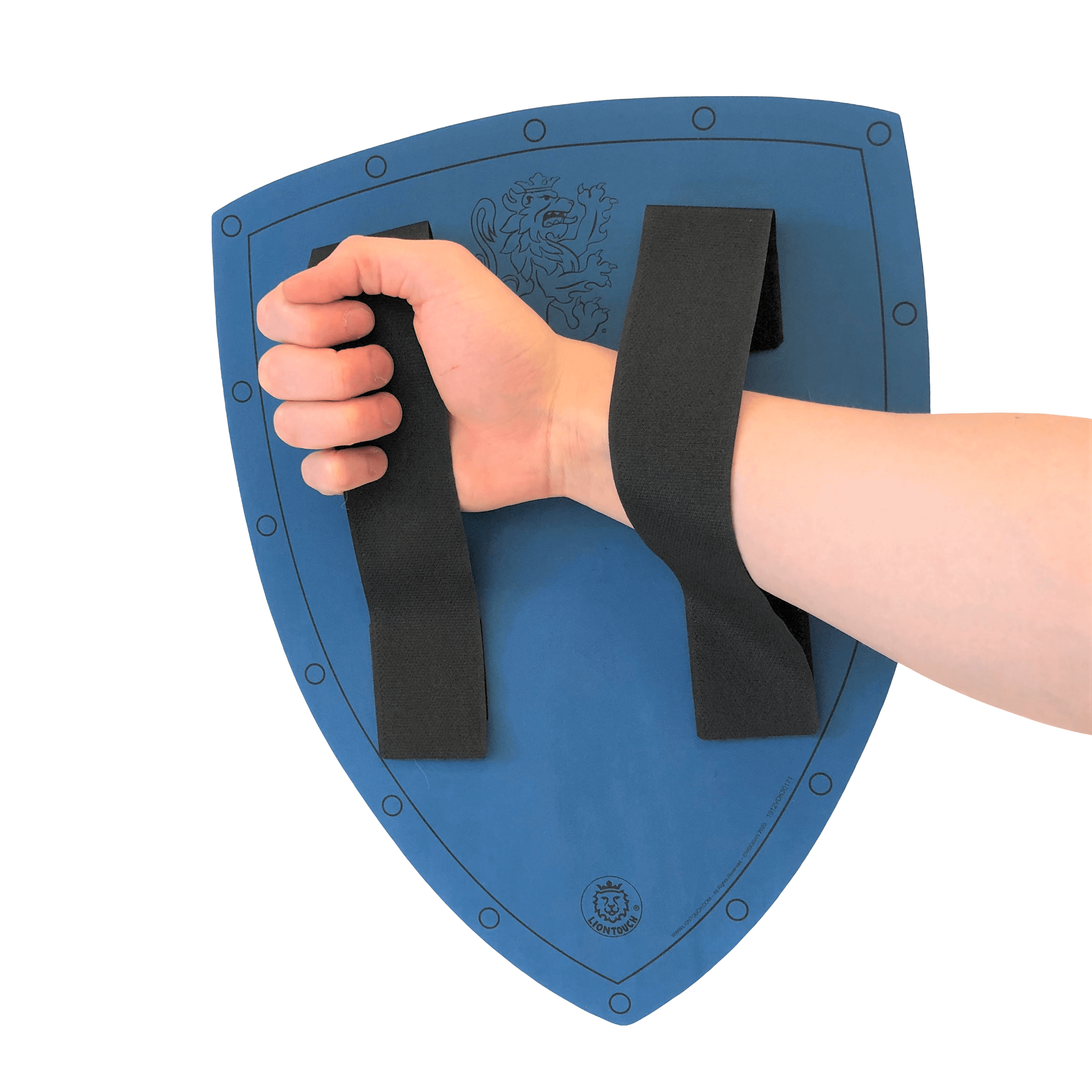 Create unforgettable adventures as a blue Noble Knight from Liontouch