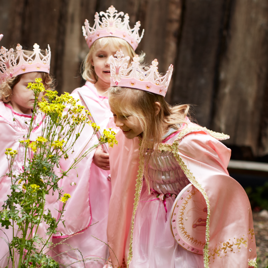 Feel like a Brave Queen with Liontouch Queen Rosa Cape