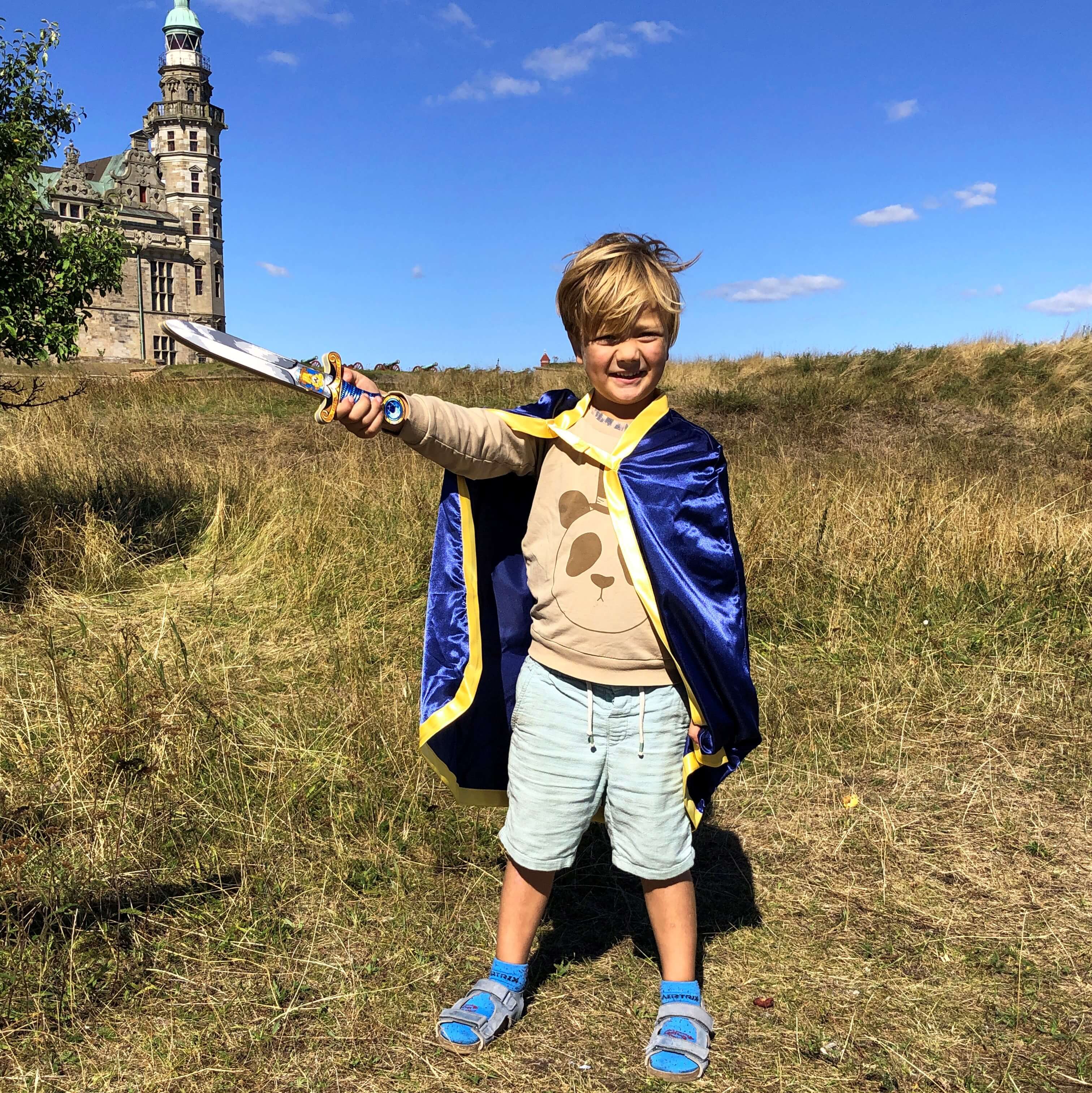 Blue Mini Lion Sword for Kids - Perfect for Imaginative Play – Liontouch