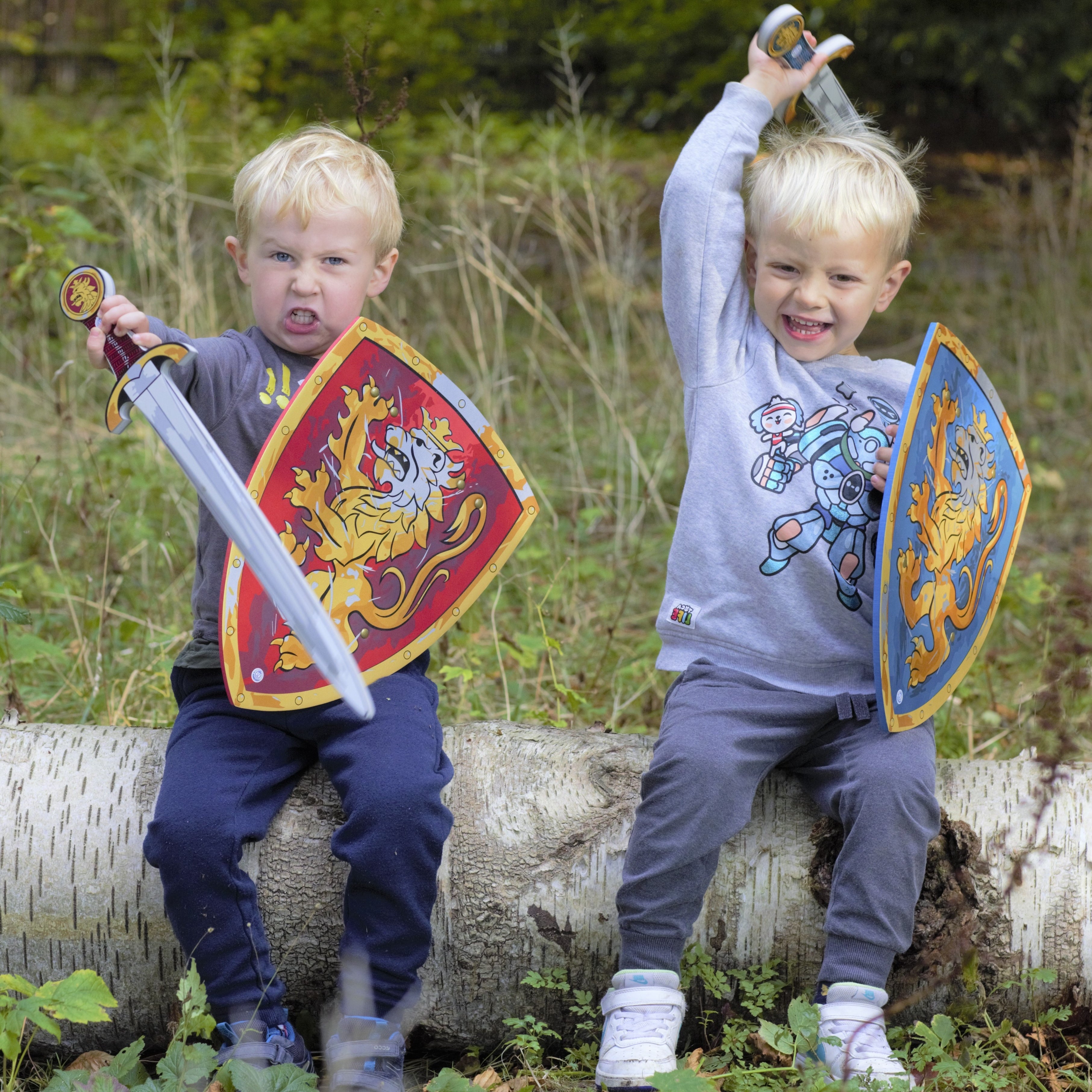 Noble Knight Gift Set for Two - Swords and Shields for Active Play ...