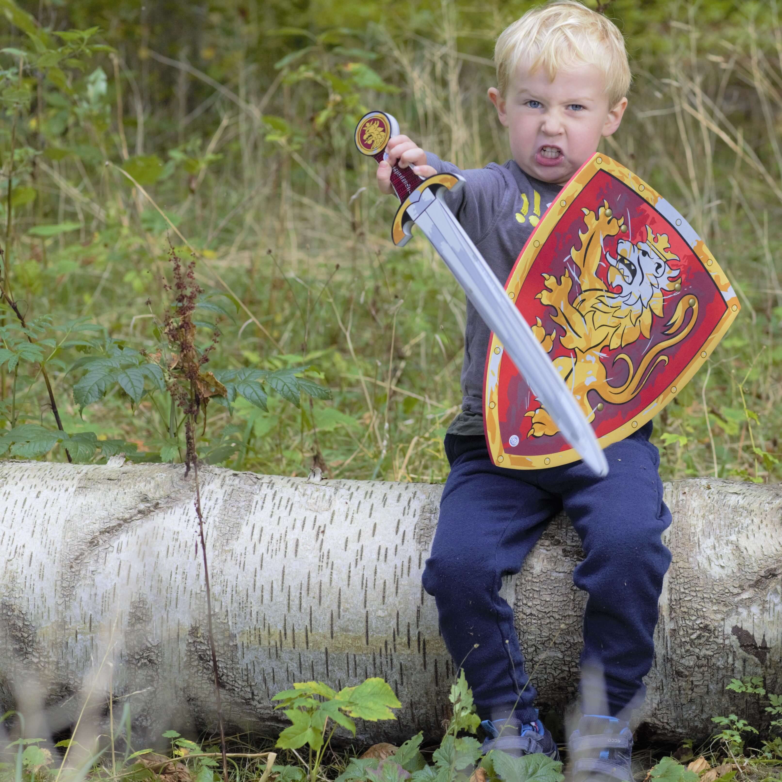 The Noble Knight S Sword And Shield In Red From Liontouch