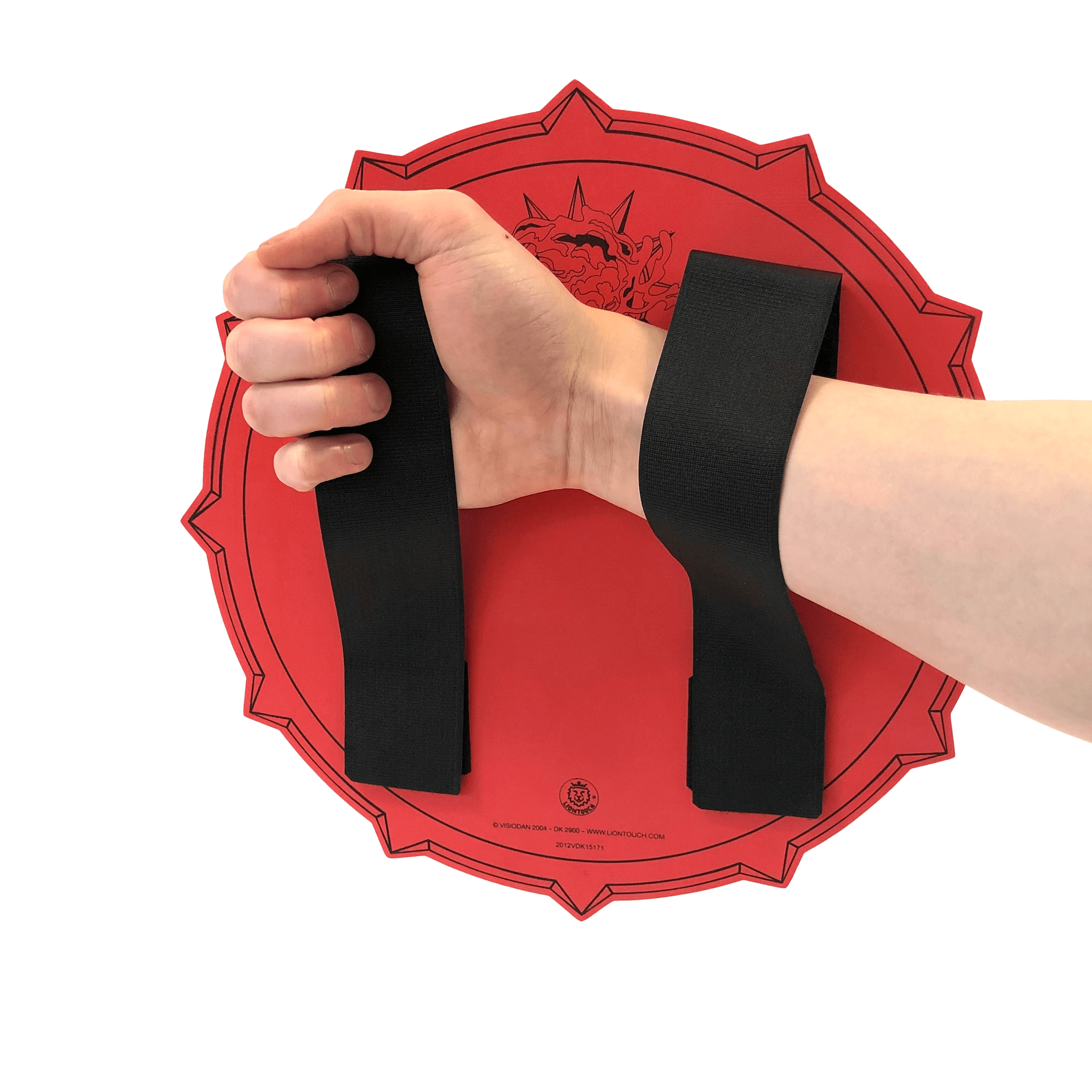 Liontouch Flame shield - magical protection against dragons and evil forces